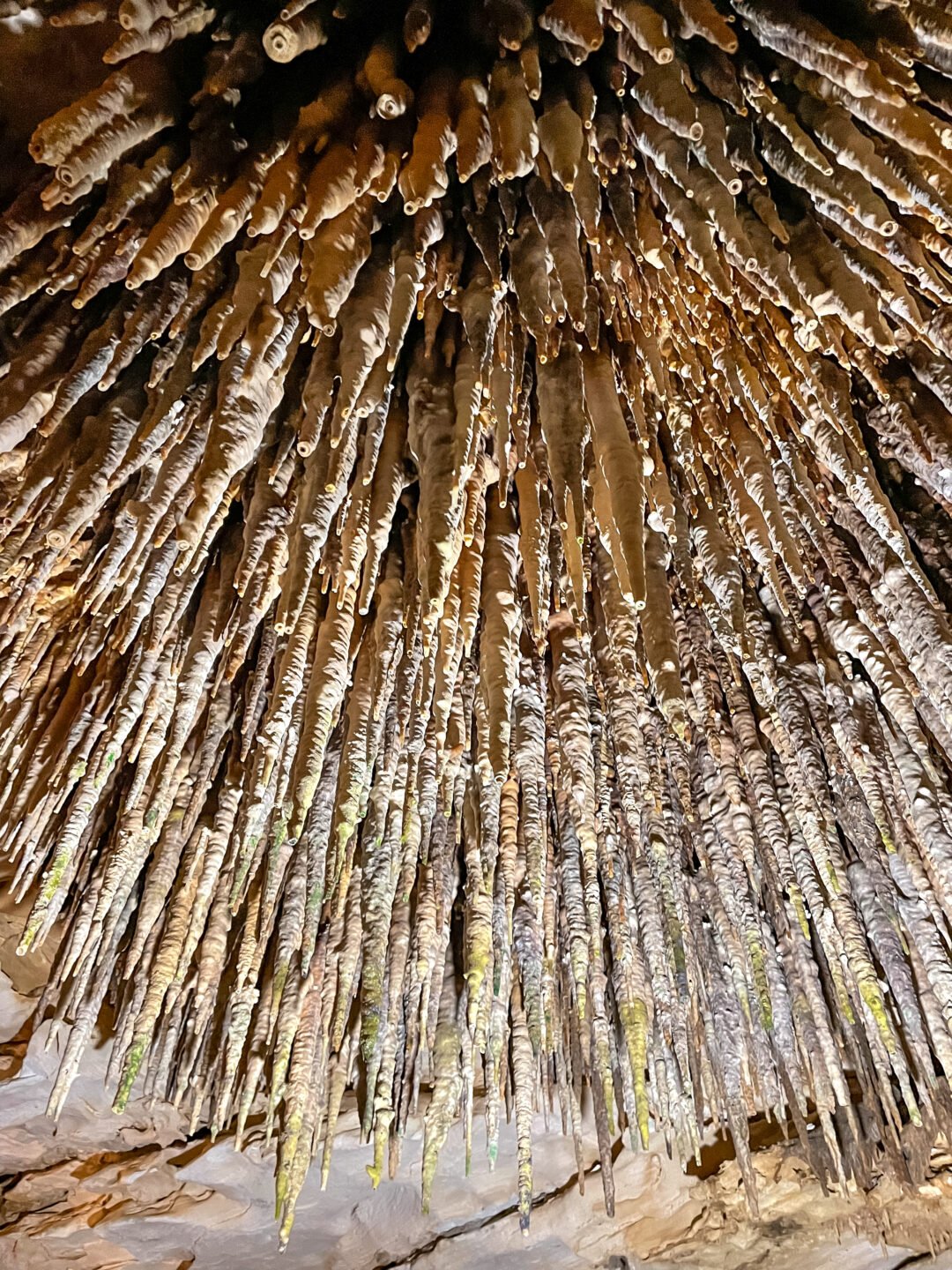 Kantun Chi; El parque ecológico en la Riviera Maya que tienes que visitar